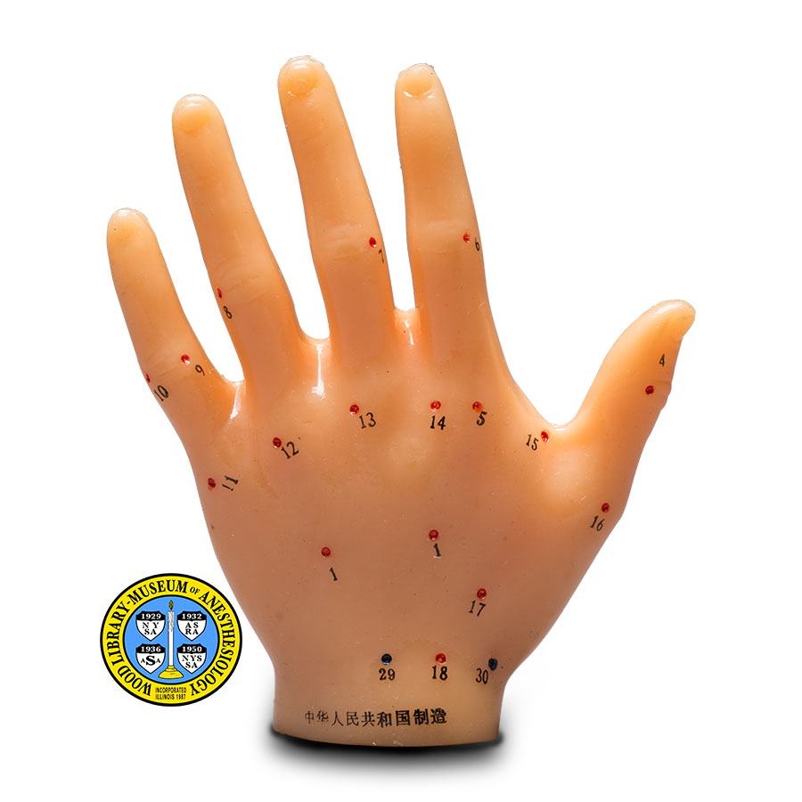 Acupuncture Hand Model - Wood Library-Museum of Anesthesiology