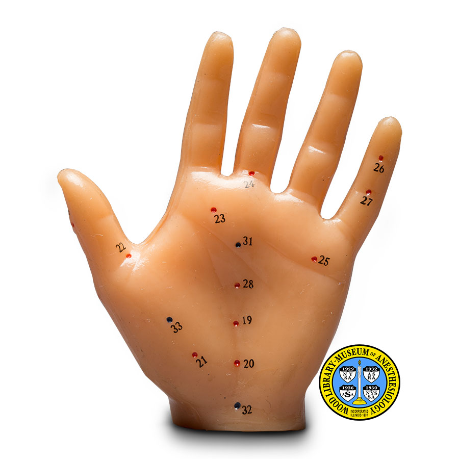 Acupuncture Hand Model - Wood Library-Museum of Anesthesiology